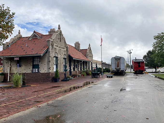All aboard nostalgia central! The railroad museum celebrates Poplar Bluff's transportation heritage without the crowds of big-city attractions.