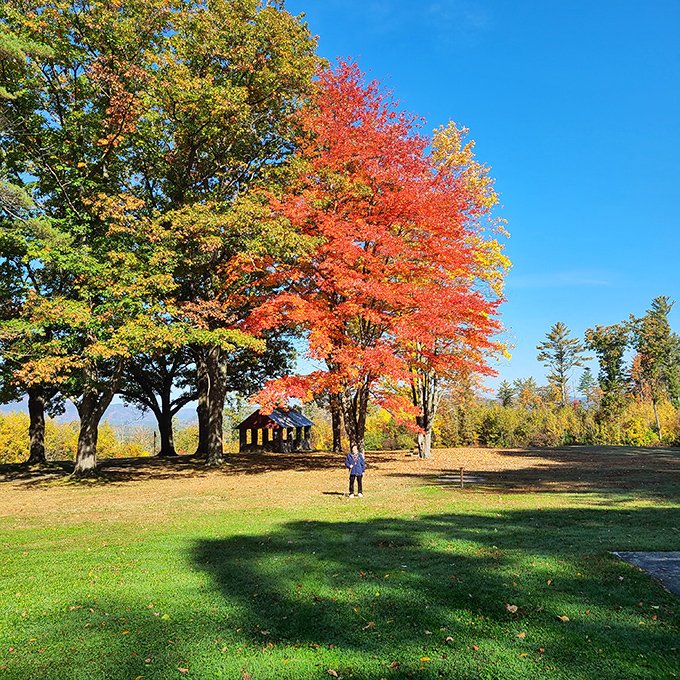 Moody Trails showcases autumn's fiery palette, where nature's most spectacular show requires no admission fee.