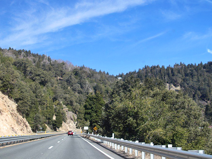 Tree tunnels and mountain passages create nature's perfect frame for your journey. No Instagram filter required for this stretch.