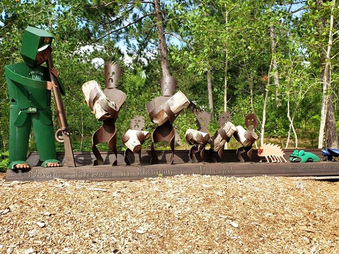 Moving Firewood in Michigan is Illegal tells a conservation story through whimsical characters. Even environmental messages get the artistic treatment here.