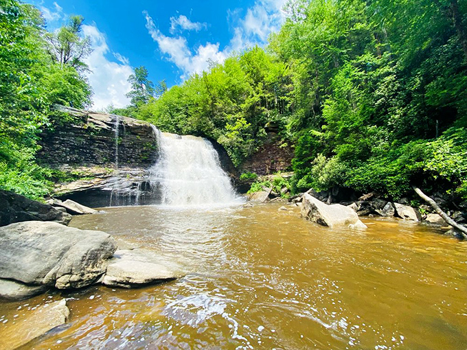 Muddy Creek Falls plunges with the confidence of someone who knows they're Maryland's highest free-falling waterfall. Nature showing off, and rightfully so.