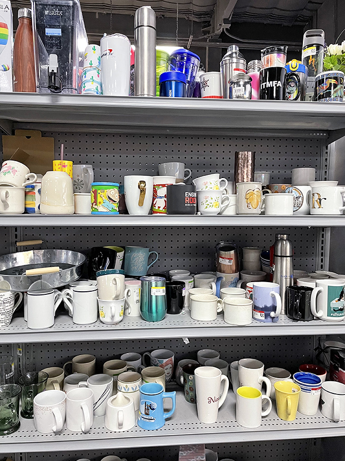 A museum of morning rituals—each mug tells a story of someone's coffee-fueled adventures before finding its way here.