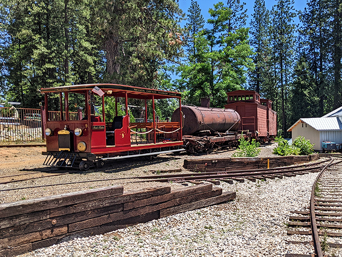 All aboard the Nevada County Narrow Gauge Railroad Museum, where tiny trains tell big stories about California's past.