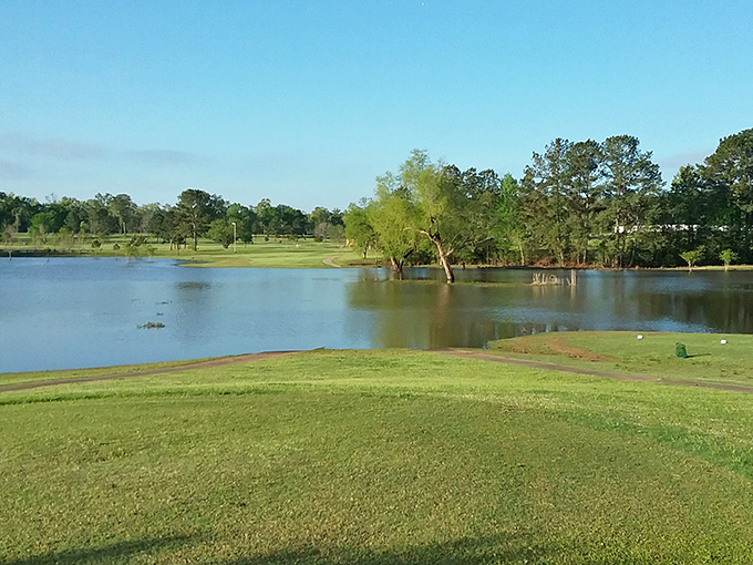 Northwestern Hills Golf Course proves that water hazards are more beautiful when you're paying Louisiana green fees instead of Florida prices.