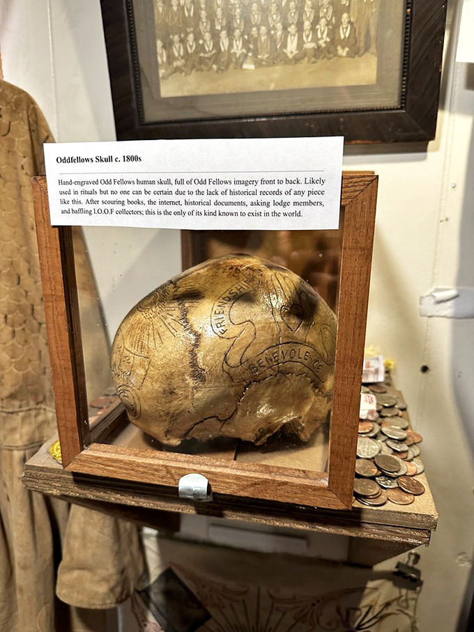 This hand-engraved Odd Fellows human skull from the 1800s is reportedly the only one of its kind in the world. Secret society symbolism etched into bone.