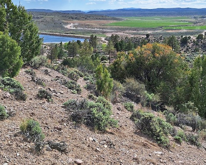 A panoramic view that makes your smartphone camera weep with inadequacy. No filter needed when Mother Nature already perfected the composition.