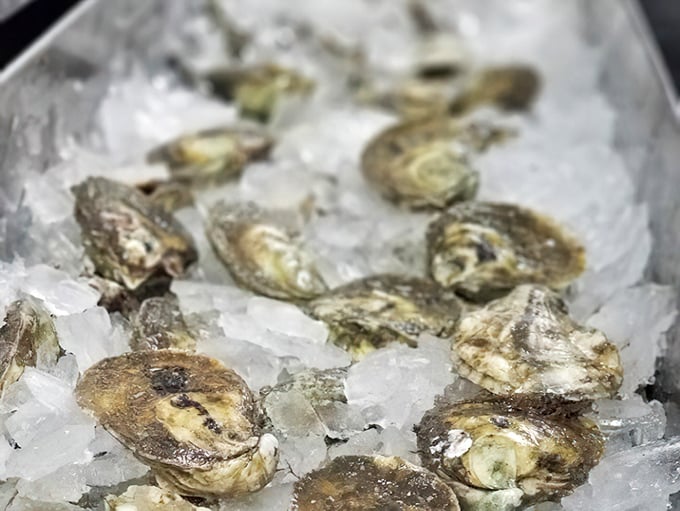 Fresh oysters on ice &ndash; nature's perfect appetizer waiting for nothing more than a squeeze of lemon and perhaps a drop of hot sauce.