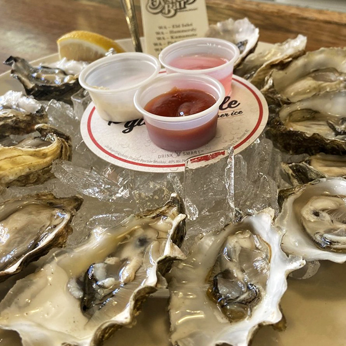 Fresh oysters arranged like oceanic jewels, each one a briny kiss from the Pacific's generous depths.