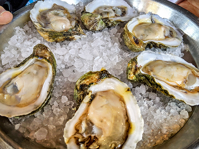 Fresh oysters glistening on ice like briny treasures from Neptune himself. Nature's perfect appetizer requires nothing more than a squeeze of lemon.