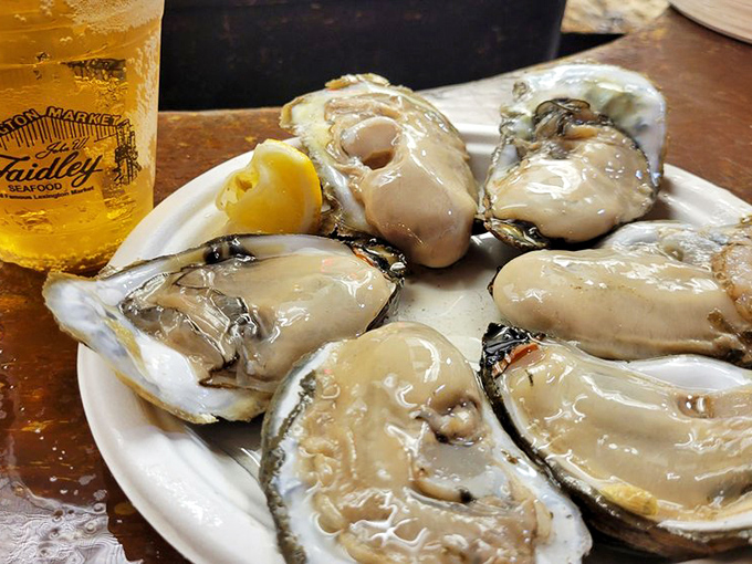 Fresh oysters glistening like jewels beside a cold beer. The ocean's perfect appetizer waiting for just a squeeze of lemon.