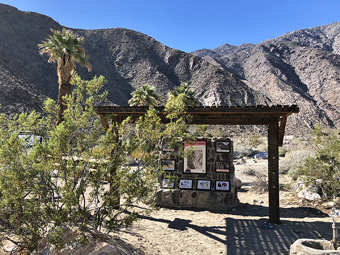 Trail information stands ready for hikers seeking adventure, with mountains looming like silent guardians of desert secrets waiting to be discovered.