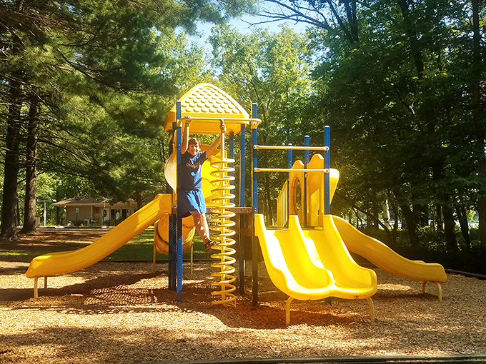 Childhood joy, bottled and served fresh daily. This playground doesn't need Wi-Fi &ndash; the connection to fun is already five bars strong.