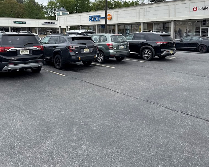 The parking lot battlefield where victorious shoppers return, arms laden with spoils from retail combat. The quest begins and ends here.