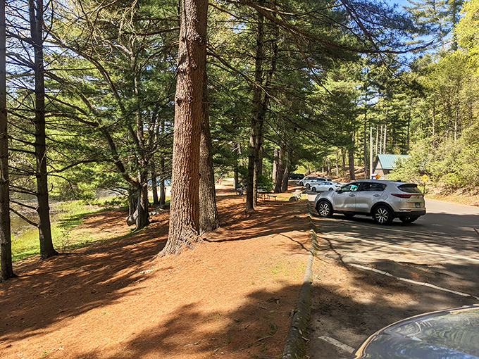 Parking among the pines&mdash;where your adventure begins. Even the lot feels like you've already escaped the daily grind.