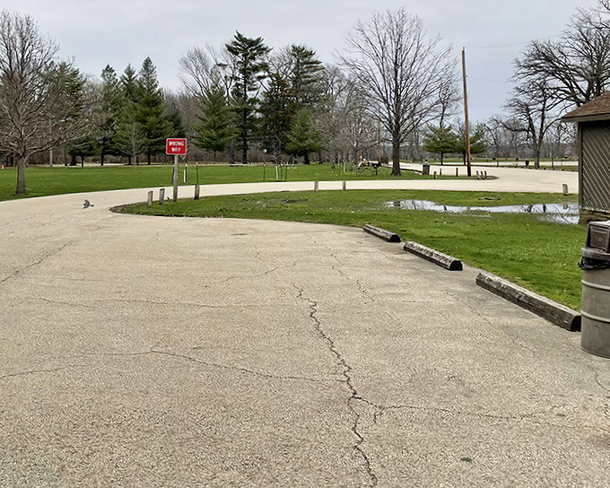The humble parking area&mdash;where adventures begin and muddy boots return. Notice how even the asphalt cracks make room for nature's persistence.