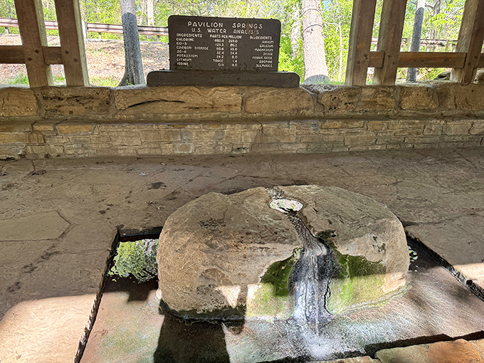 Pavilion Springs showcases nature's original spa treatment&mdash;mineral waters that have been rejuvenating visitors long before "wellness" became trendy.