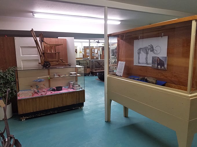 History doesn't need Broadway lighting to be fascinating. The Payette County Museum showcases treasures from woolly mammoths to pioneer tools with unpretentious charm. 