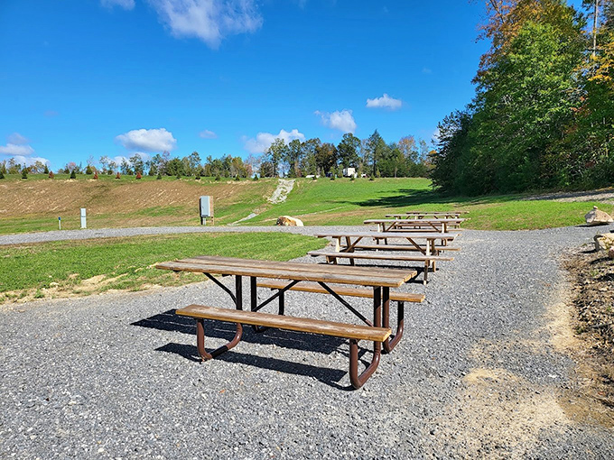 Picnic tables with million-dollar views &ndash; the kind of outdoor dining experience that makes fancy restaurants seem overrated.