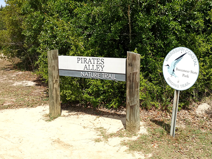 Pirates Alley Nature Trail beckons explorers to discover coastal treasures without the hassle of actually becoming a pirate.