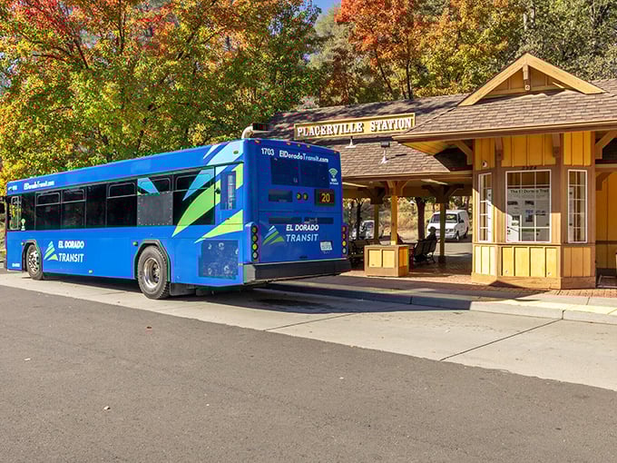 The Placerville Station transit hub proves small towns can do public transportation right. That blue El Dorado Transit bus is retirement freedom on wheels.