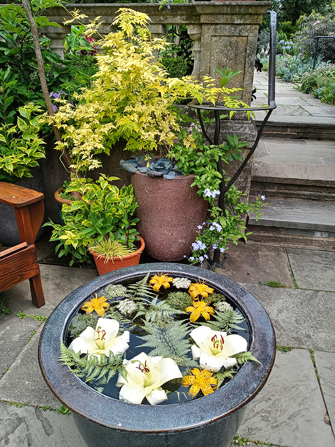 A botanical still life that would make Martha Stewart weep with joy&mdash;floating lilies arranged with the precision of a Michelin-starred dessert.
