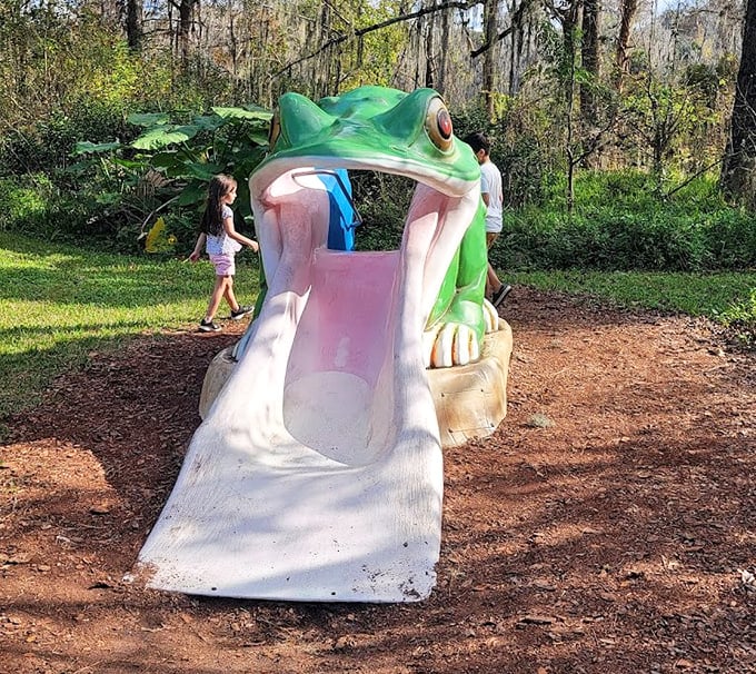 The happiest frog slide in Florida doesn't require a second mortgage or two-hour lines. Simple joys still exist in this corner of the Sunshine State.