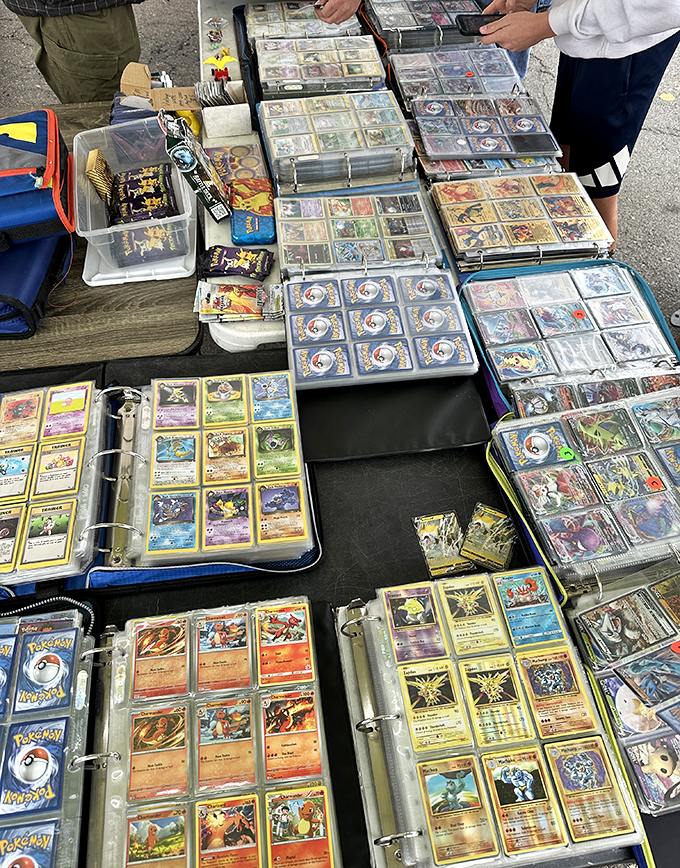 Pok&eacute;mon cards spread like a nostalgic rainbow, where your kids' old obsession becomes someone else's new treasure.