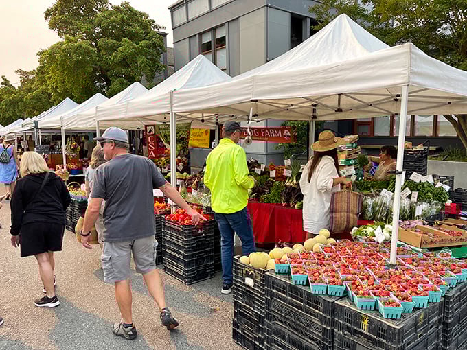 The Port Townsend Farmers Market transforms ordinary Saturday errands into a celebration of local bounty, where strawberries have never traveled farther than you did to get there.