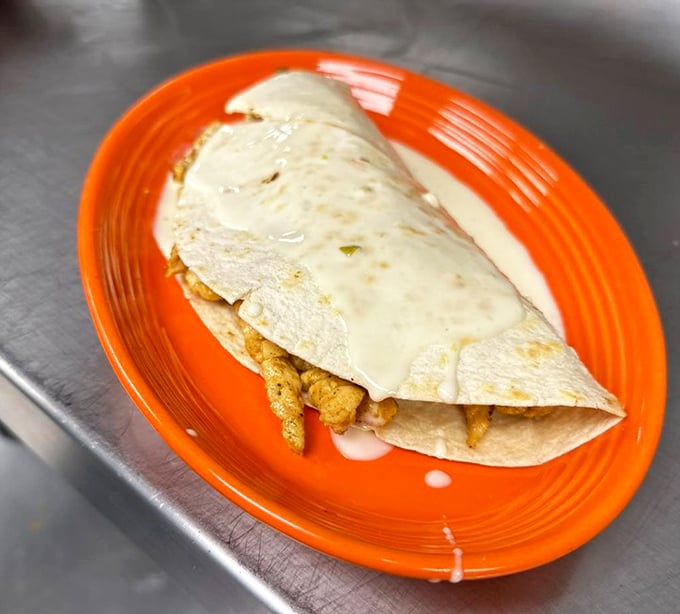 Quesadillas elevated to art form &ndash; crispy, cheesy perfection on a turquoise canvas that makes every bite a celebration.