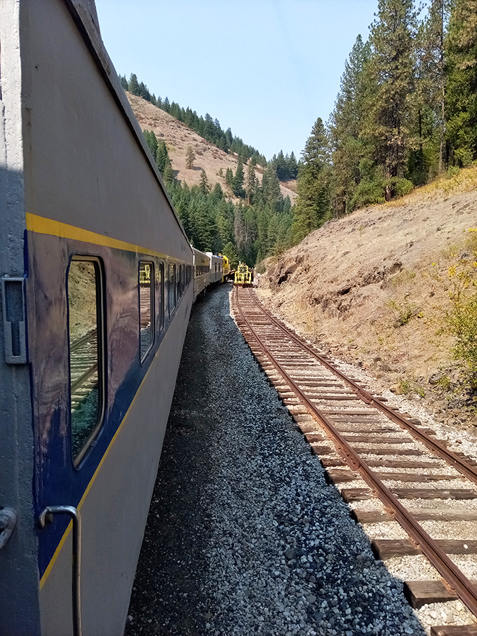 Miles of track stretching toward adventure &ndash; this is how our grandparents saw America, one rail at a time.