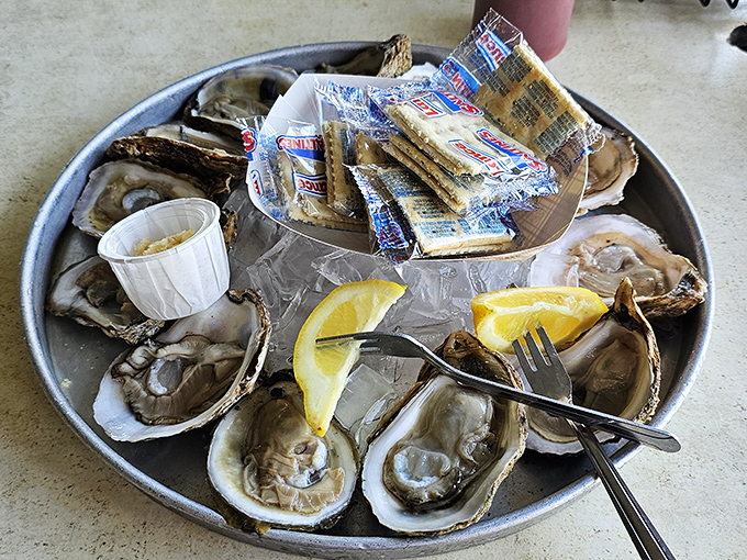Fresh oysters on the half shell &ndash; nature's perfect appetizer. Just a squeeze of lemon and you're transported to seafood heaven.