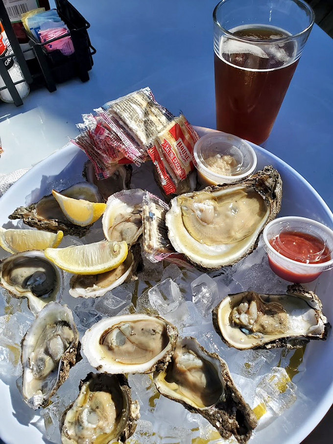 Apalachicola oysters on the half shell—nature's perfect appetizer served with cold beer and zero pretension.