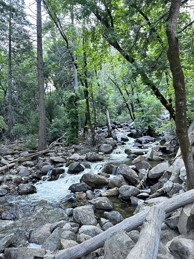 The aftermath of gravity: Bridalveil's waters don't just disappear after their dramatic plunge&mdash;they continue their journey through this rock-strewn streambed.