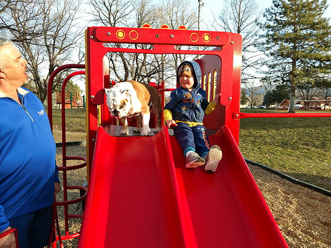 Family fun comes standard at Riverside Park, where even the dogs get in on the sliding action &ndash; childhood joy that costs nothing but creates priceless memories.