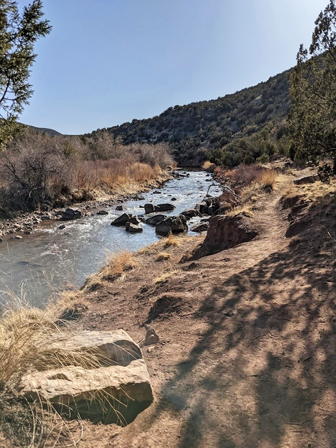The riverside trail offers hikers front-row seats to nature's greatest show: the dance between water, rock, and sky.