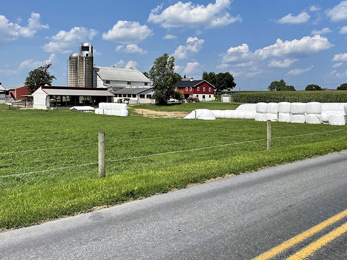 Quintessential Americana stretches to the horizon. This roadside view captures what city folks pay interior decorators thousands to recreate in farmhouse chic.