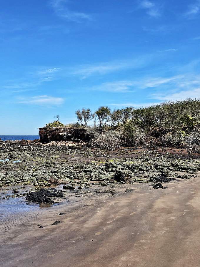 Low tide reveals the blackrock formations unique to this stretch of coast. Geology never looked so ready for its Instagram moment.