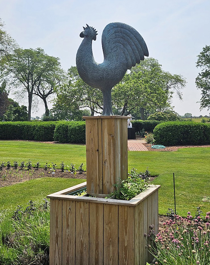 The garden's unofficial mayor stands tall! This magnificent rooster sculpture adds a touch of whimsy to the formal gardens&mdash;no early morning crowing included.