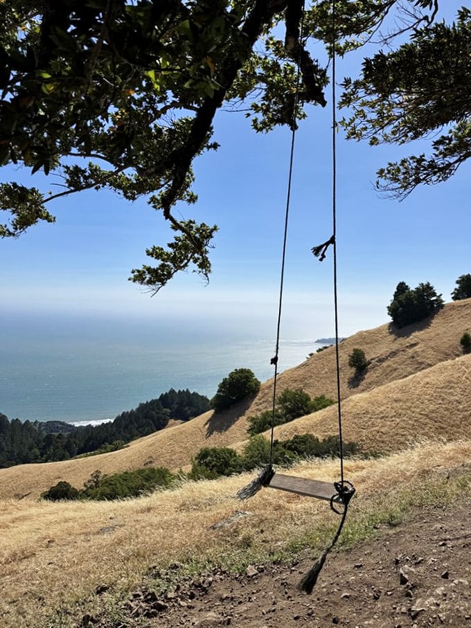The simplest pleasures endure&mdash;a rope swing with an ocean view that turns adults back into gleeful 10-year-olds instantly.
