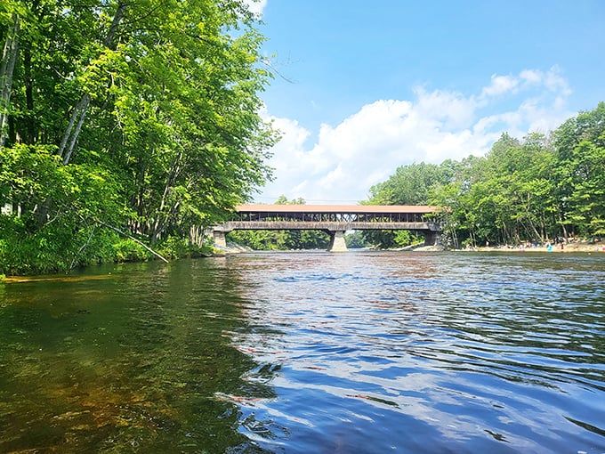 The Saco River flows with such serene confidence, it makes you wonder if water molecules know they've hit the scenic jackpot here.