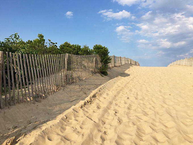 Dune fences create natural artistry, protecting fragile ecosystems while framing paths to paradise.