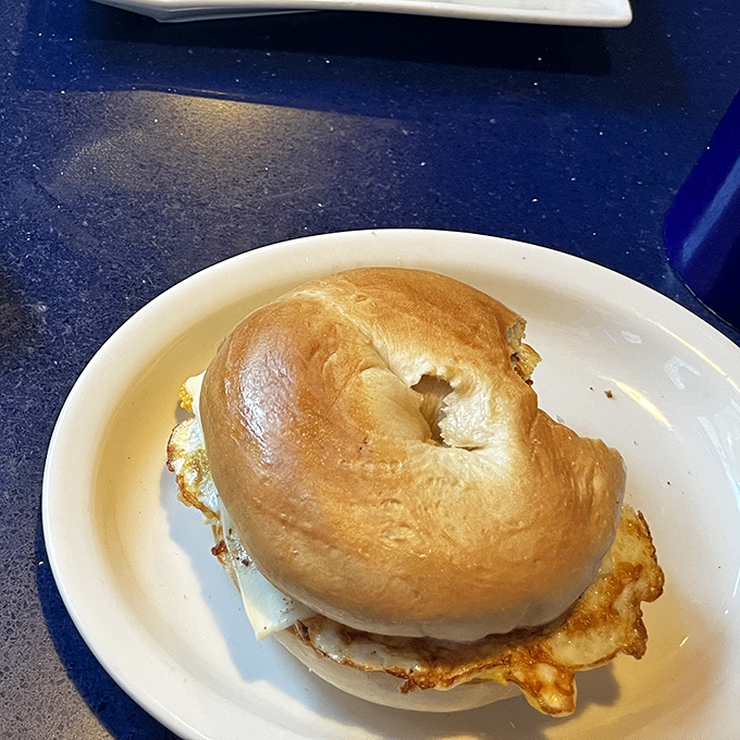 The humble breakfast sandwich elevated to art form. When a bagel meets egg and cheese, magic happens on a blue plate.