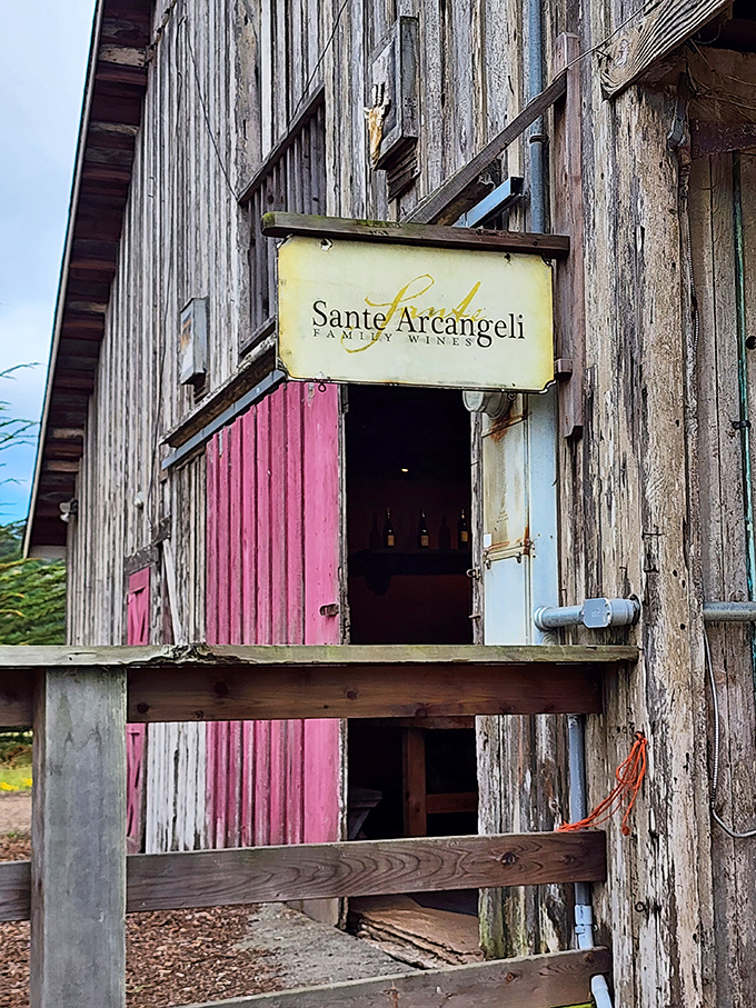 Sante Arcangeli's weathered barn exterior belies the sophisticated wines within. Like the best California experiences, it's unpretentious excellence wrapped in rustic authenticity.