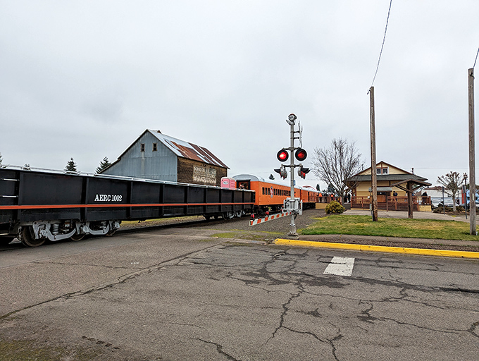 The historic train reminds visitors of Lebanon's timber town roots while offering excursions through scenic countryside.