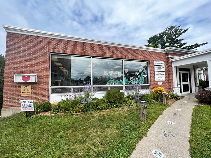 Books with a view! The Saranac Lake Free Library proves that the best stories aren't just on the shelves—they're framed in every window.