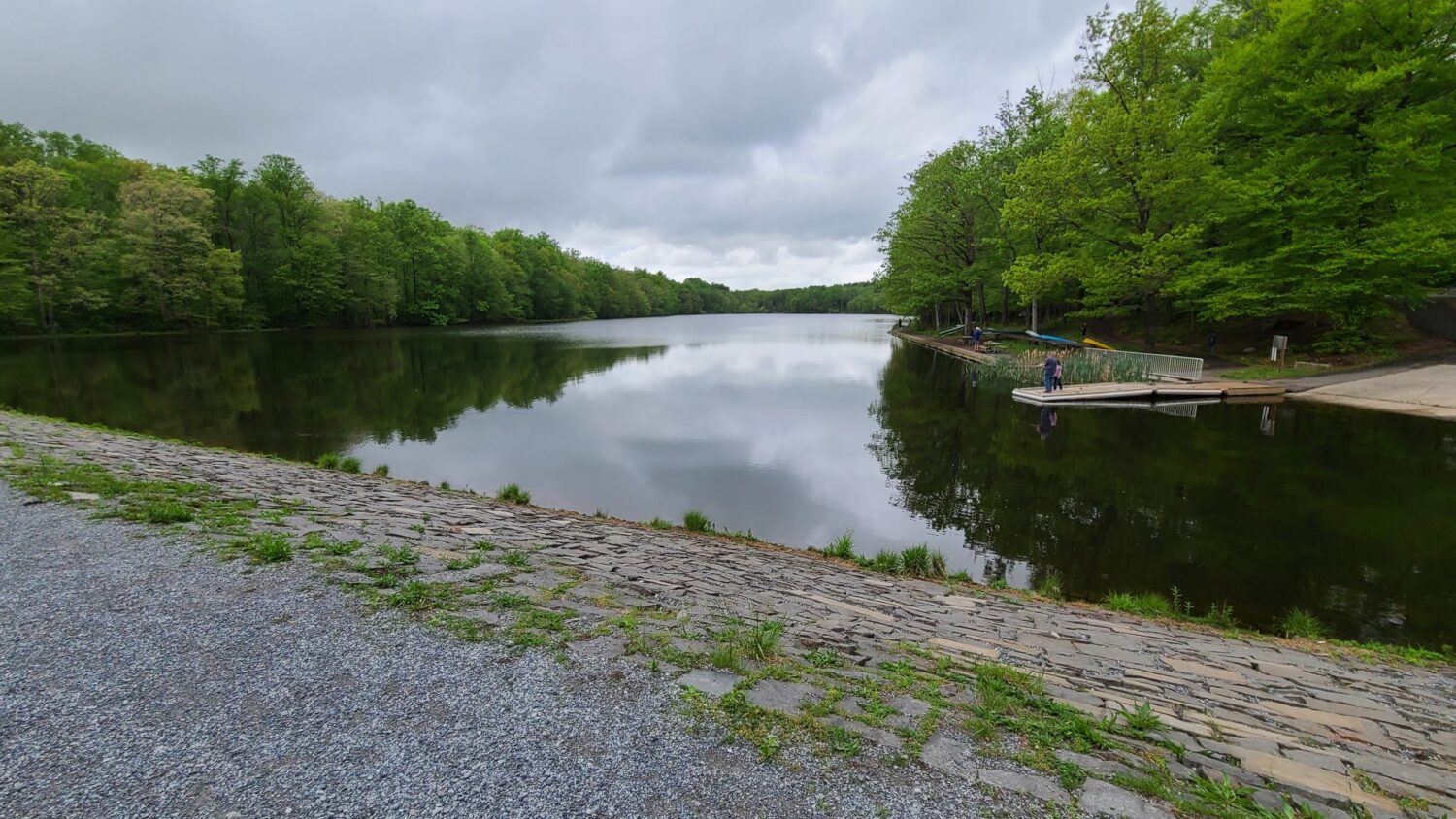 Spring's emerald embrace surrounds Scotts Run Lake, where the only traffic jam involves geese negotiating right-of-way on the water.