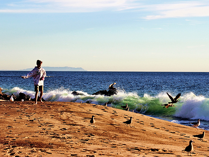 A beachgoer communes with seagulls as waves create that perfect soundtrack&mdash;the original California playlist that no streaming service can replicate.