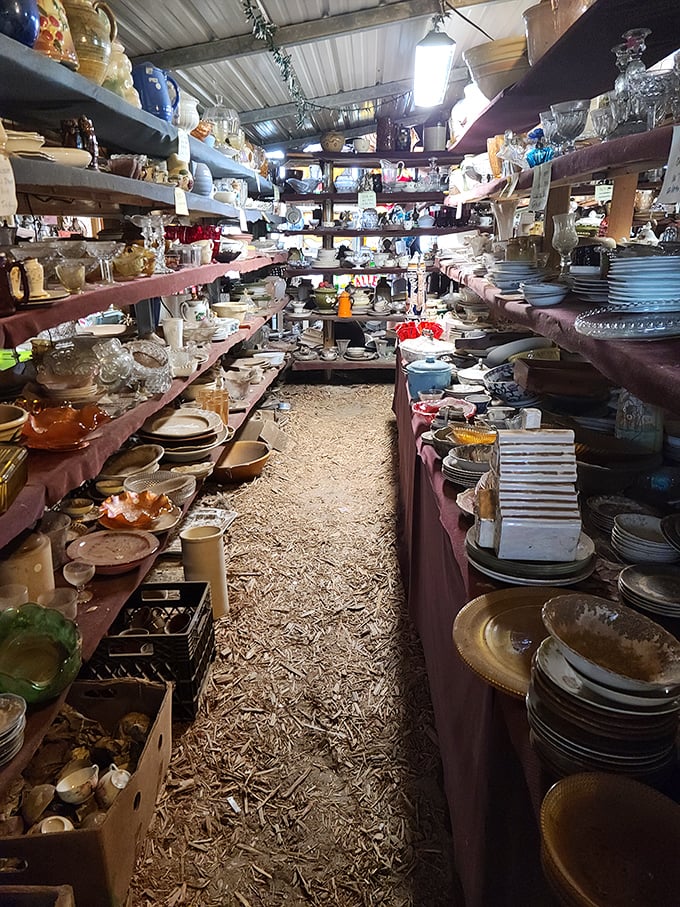 Dish paradise! Where your grandmother's missing saucer might be hiding, waiting to complete that set she started in 1962.