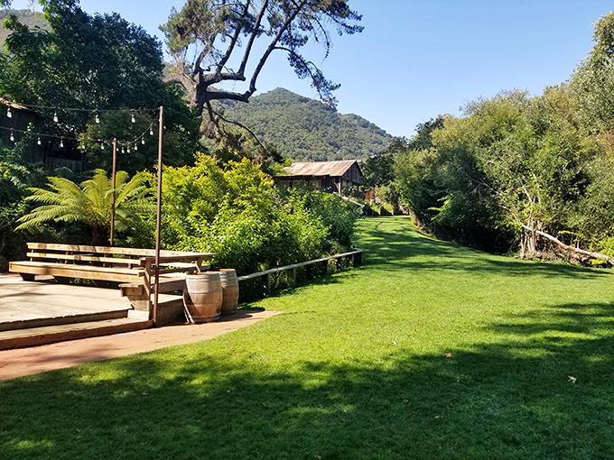 A slice of pastoral perfection awaits at See Canyon Fruit Ranch, where string lights promise evening magic among the greenery.