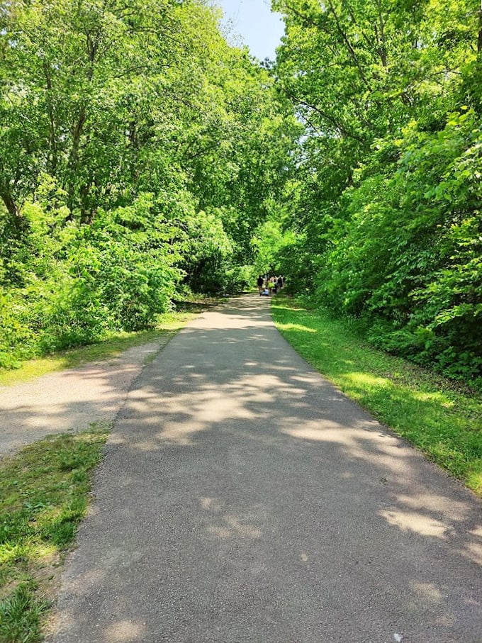 A shaded pathway cuts through vibrant summer foliage. This peaceful trail offers a refreshing respite from Missouri's summer heat.